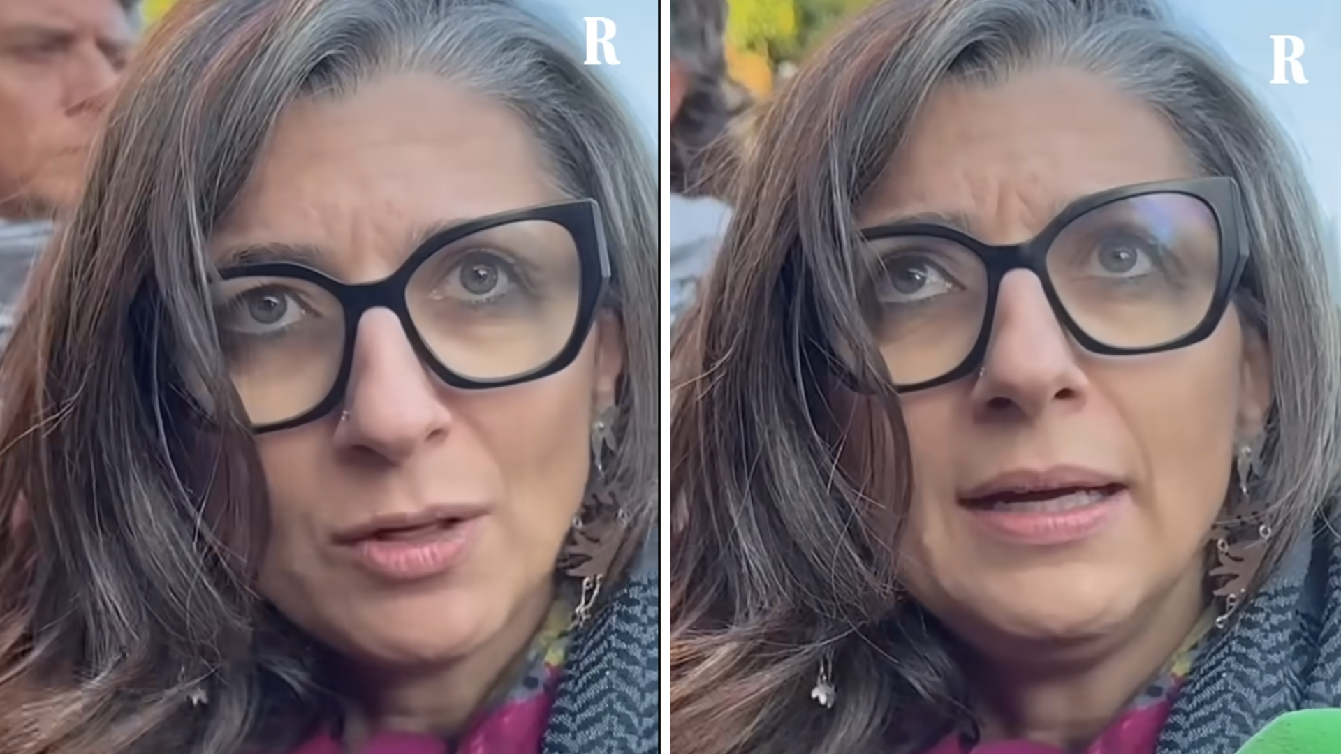 Ma la Albanese non ci sta: "Pace a Gaza? Completerà il genocidio"